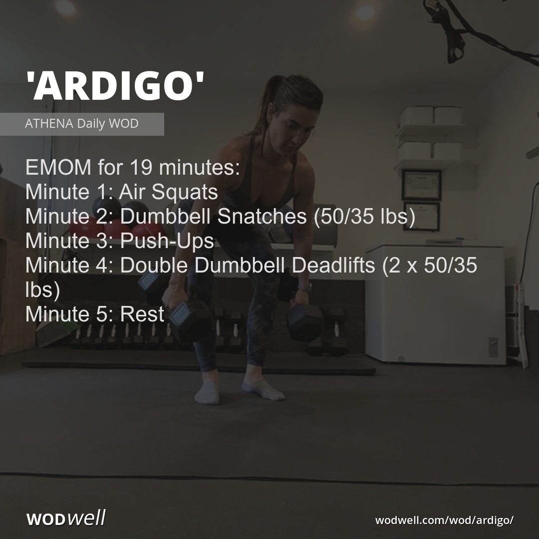 "Ardigo" Workout, ATHENA Daily WOD | WODwell