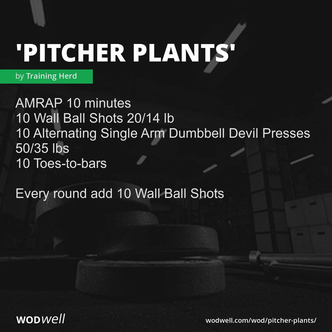 "Pitcher Plants" Workout, Coach Creation WOD | WODwell