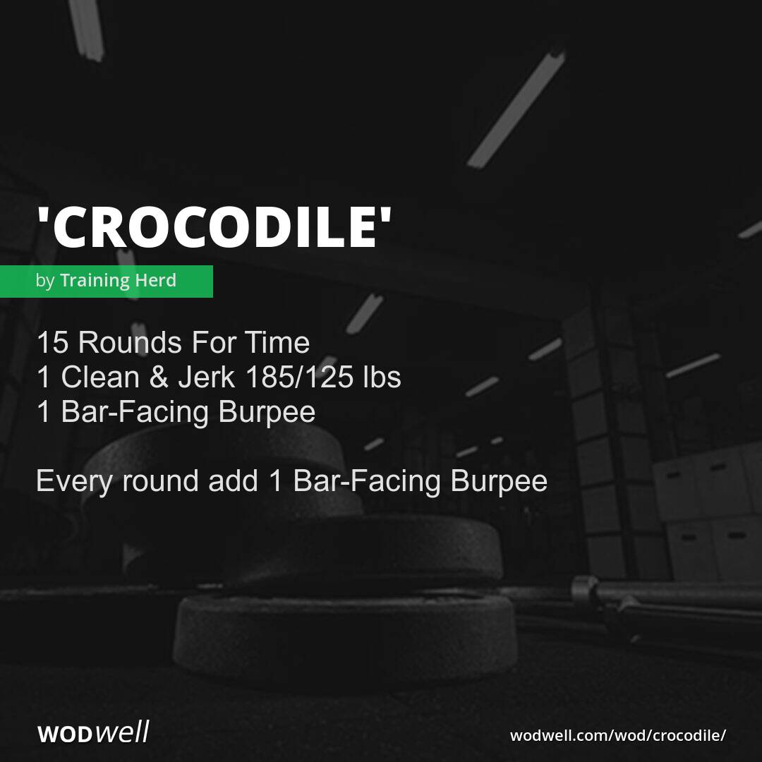 "Crocodile" Workout, Coach Creation WOD | WODwell