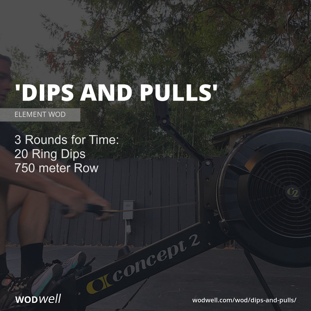 "Dips and Pulls" Workout, ELEMENT WOD | WODwell