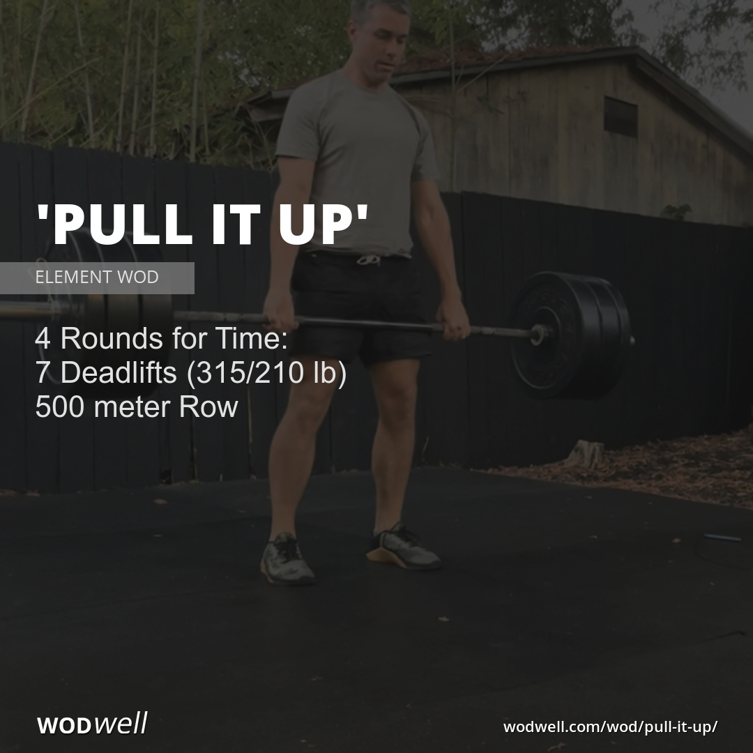 "Pull it Up" Workout, ELEMENT WOD | WODwell