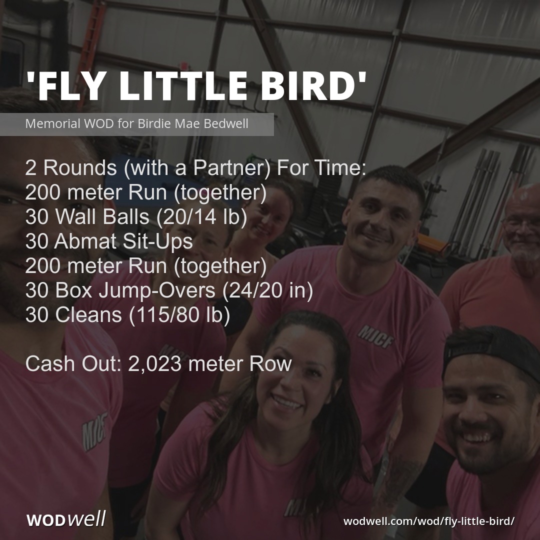 "Fly Little Bird" Workout, Memorial WOD for Birdie Mae Bedwell | WODwell