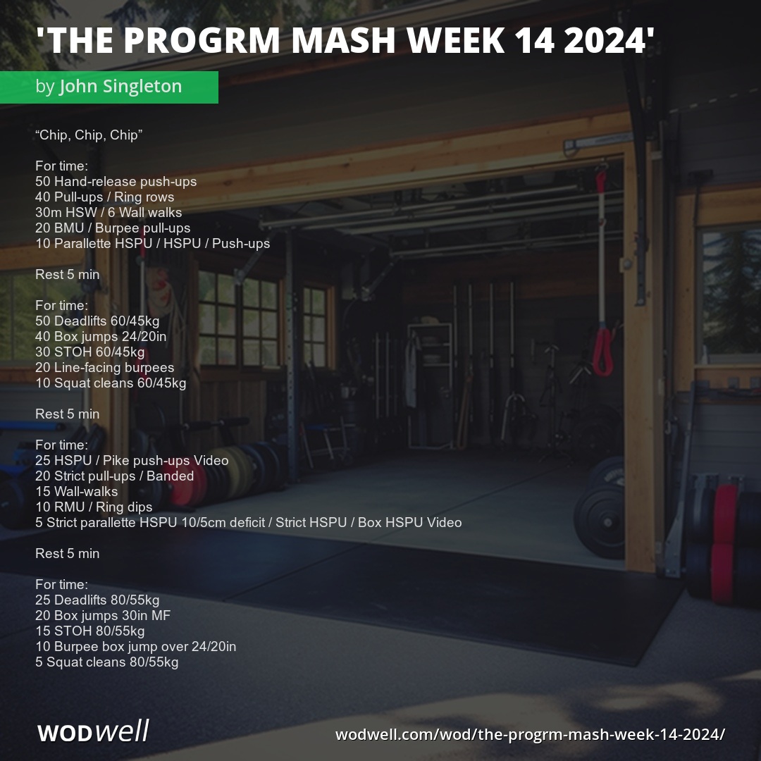 "THE PROGRM MASH WEEK 14 2024" Workout, Coach Creation WOD | WODwell