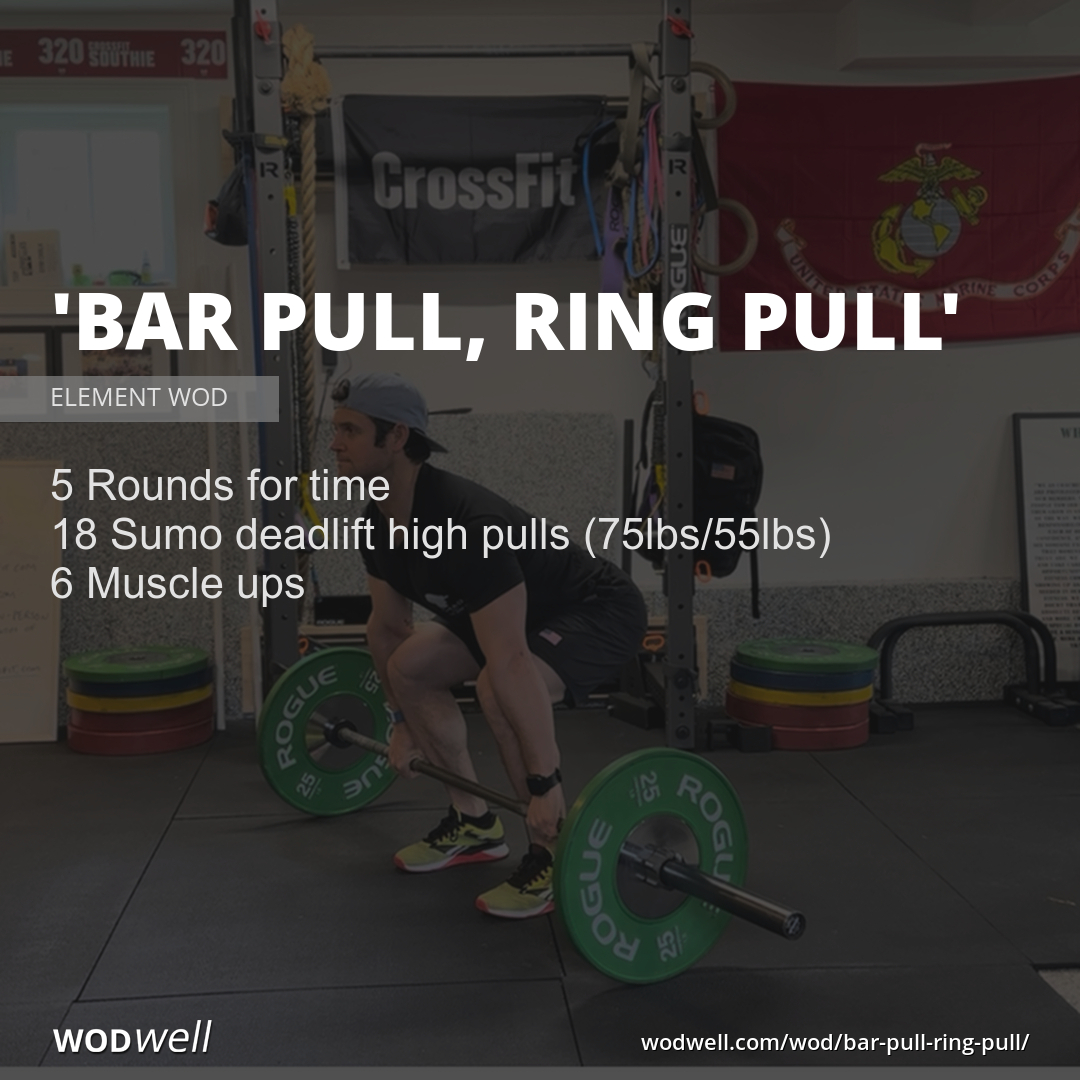 "Bar Pull, Ring Pull" Workout, ELEMENT WOD | WODwell