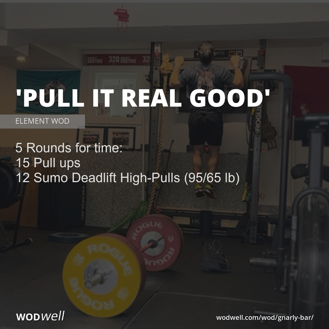 "Pull It Real Good" Workout, ELEMENT WOD | WODwell