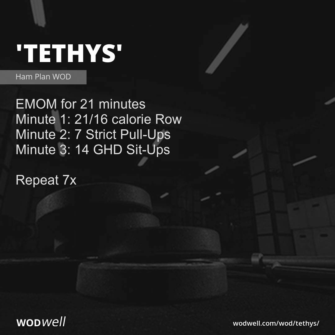 "Tethys" Workout, Ham Plan WOD | WODwell