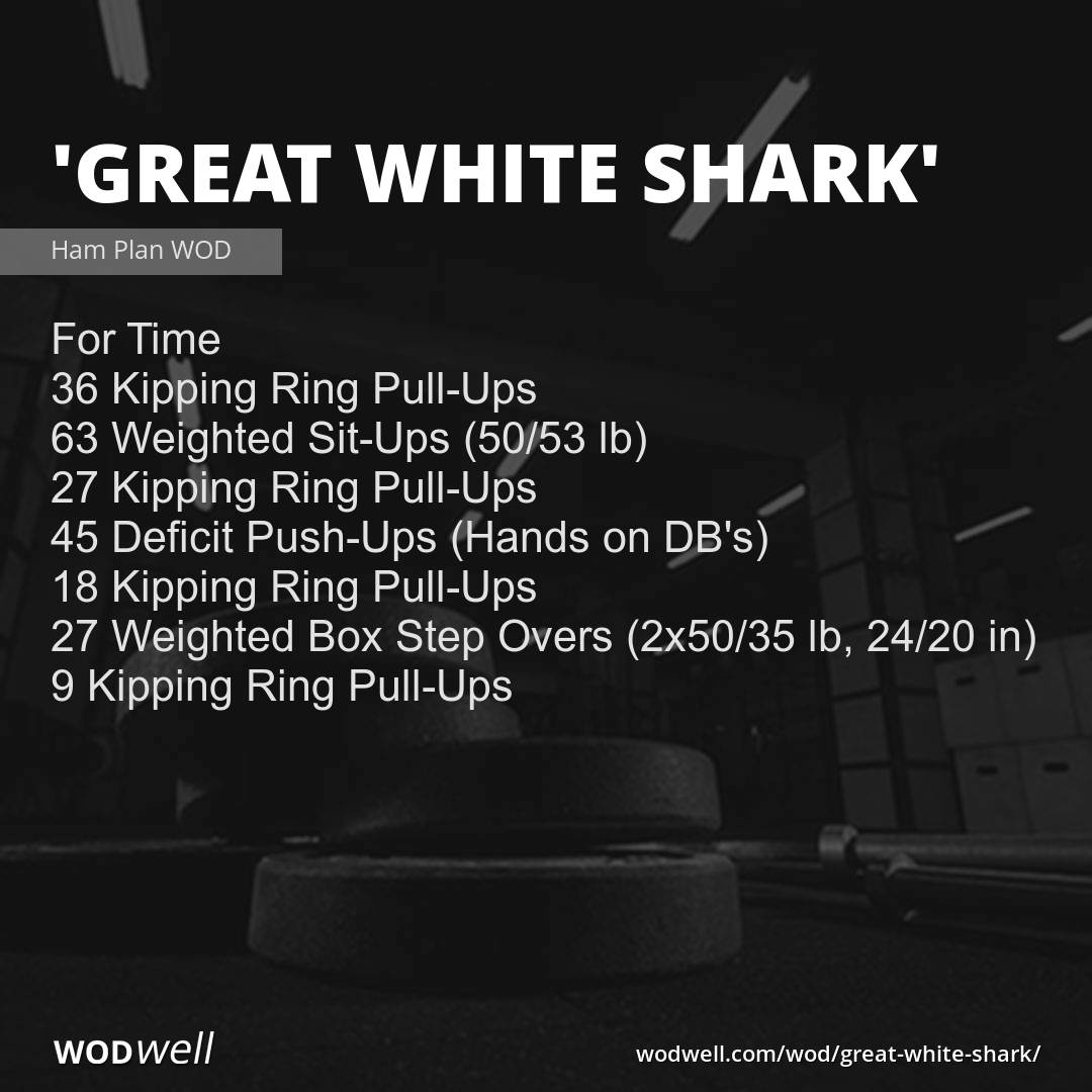 "Great White Shark" Workout, Ham Plan WOD | WODwell