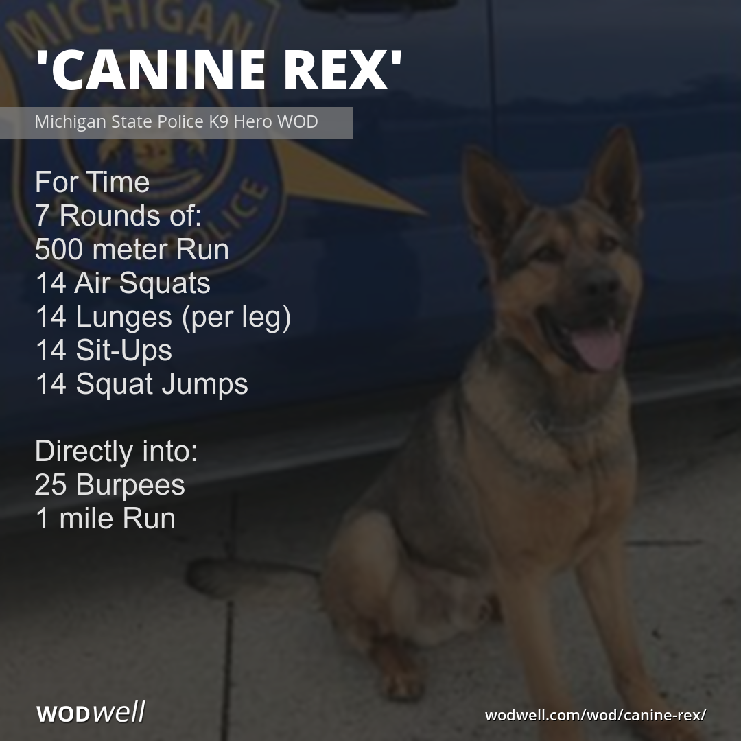 "Canine Rex" Workout, Michigan State Police K9 Hero WOD | WODwell