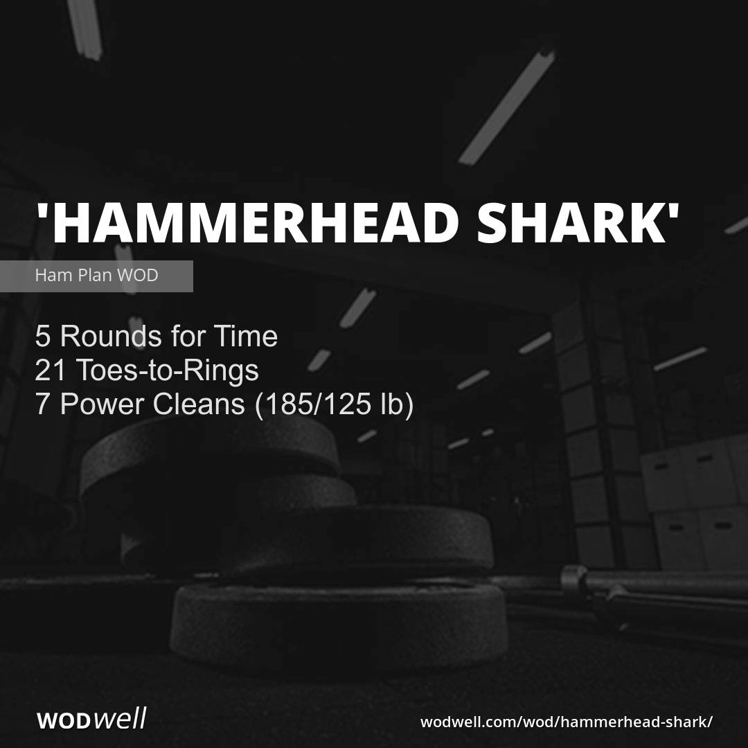 "Hammerhead Shark" Workout, Ham Plan WOD | WODwell
