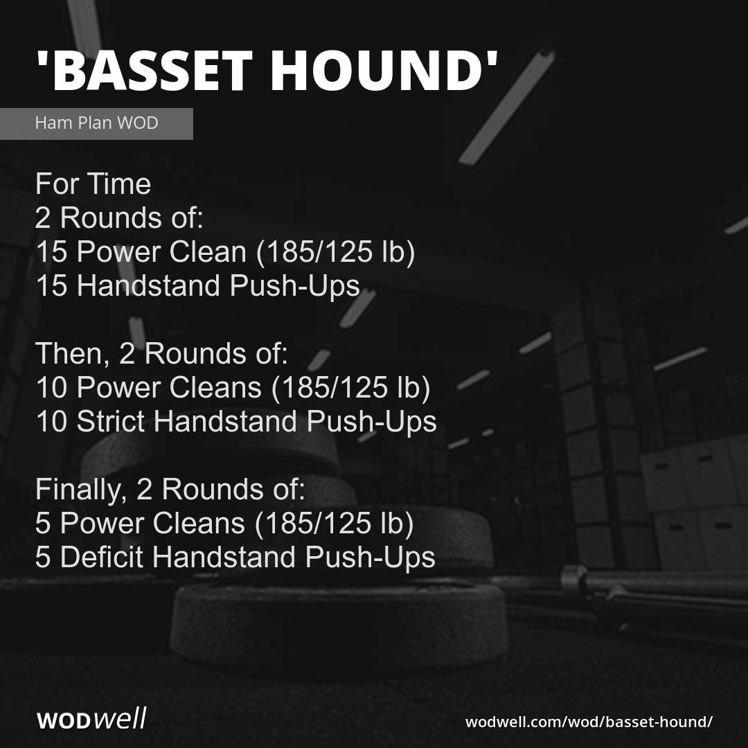 "Basset Hound" Workout, Ham Plan WOD | WODwell