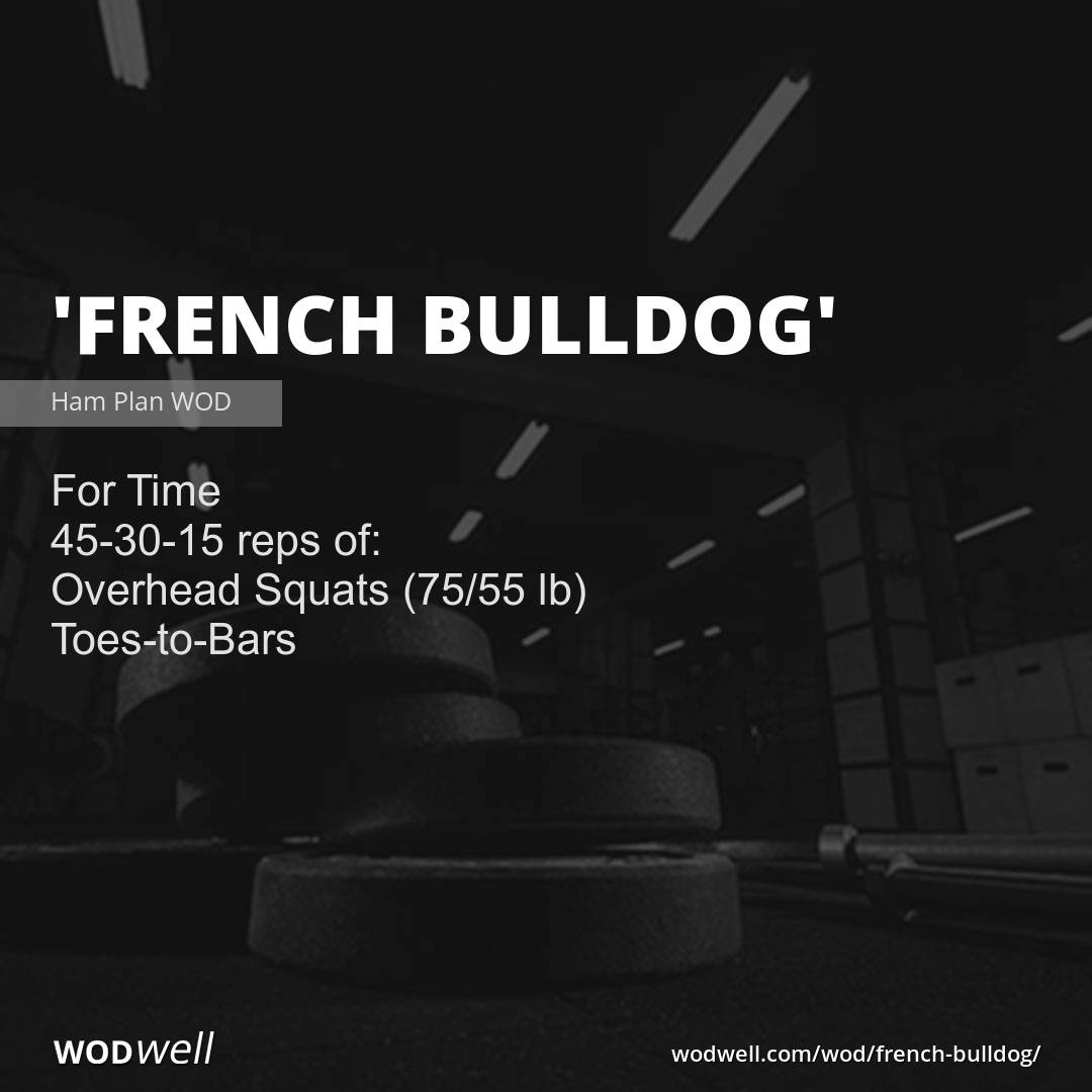 "French Bulldog" Workout, Ham Plan WOD | WODwell