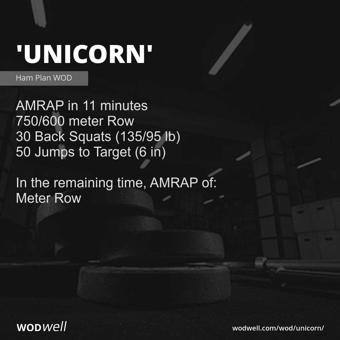 "Unicorn" Workout, Ham Plan WOD | WODwell
