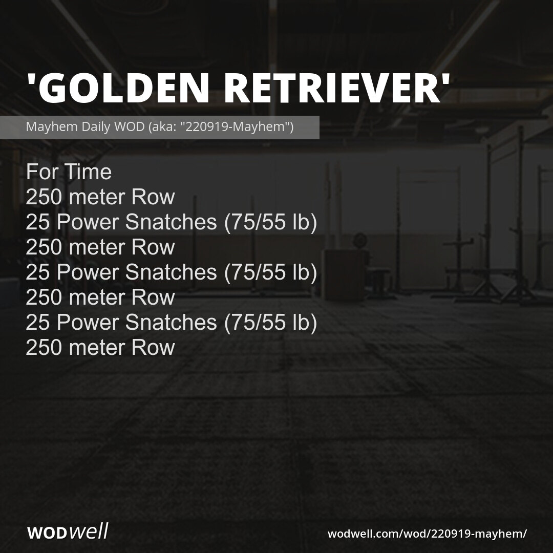 "Golden Retriever" Workout, Mayhem Daily WOD (aka: "220919-Mayhem ...