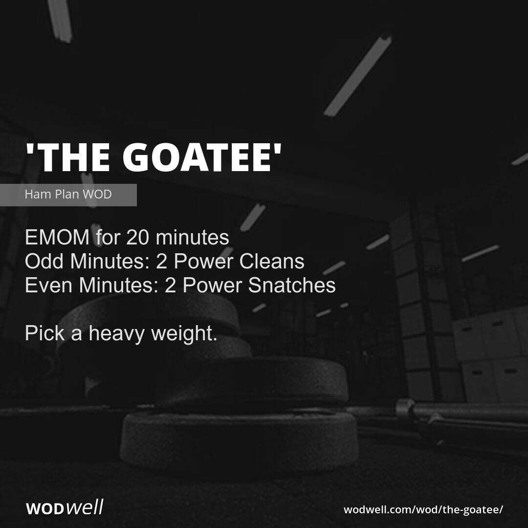 "The Goatee" Workout, Ham Plan WOD | WODwell