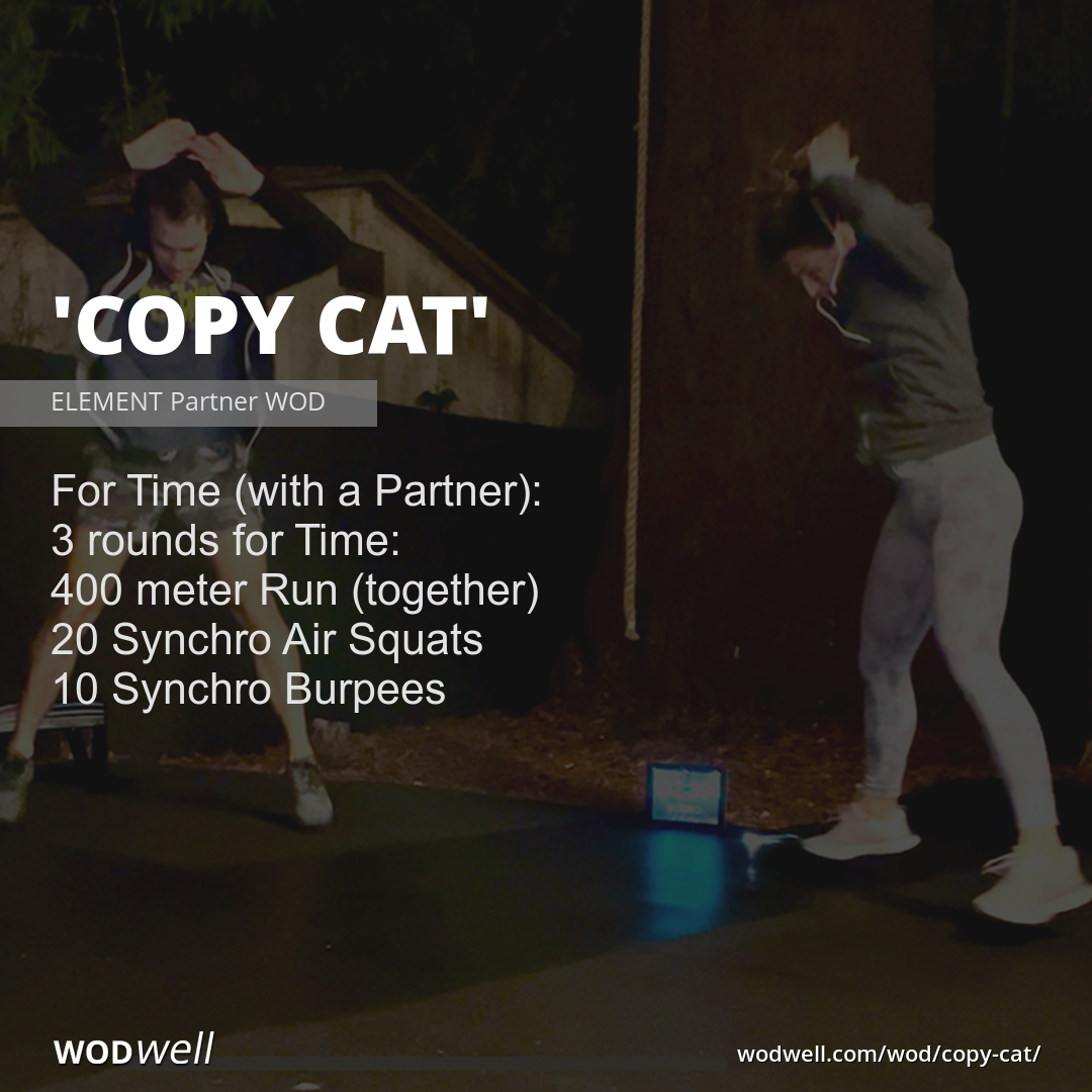 "COPY CAT" Workout, ELEMENT Daily WOD | WODwell