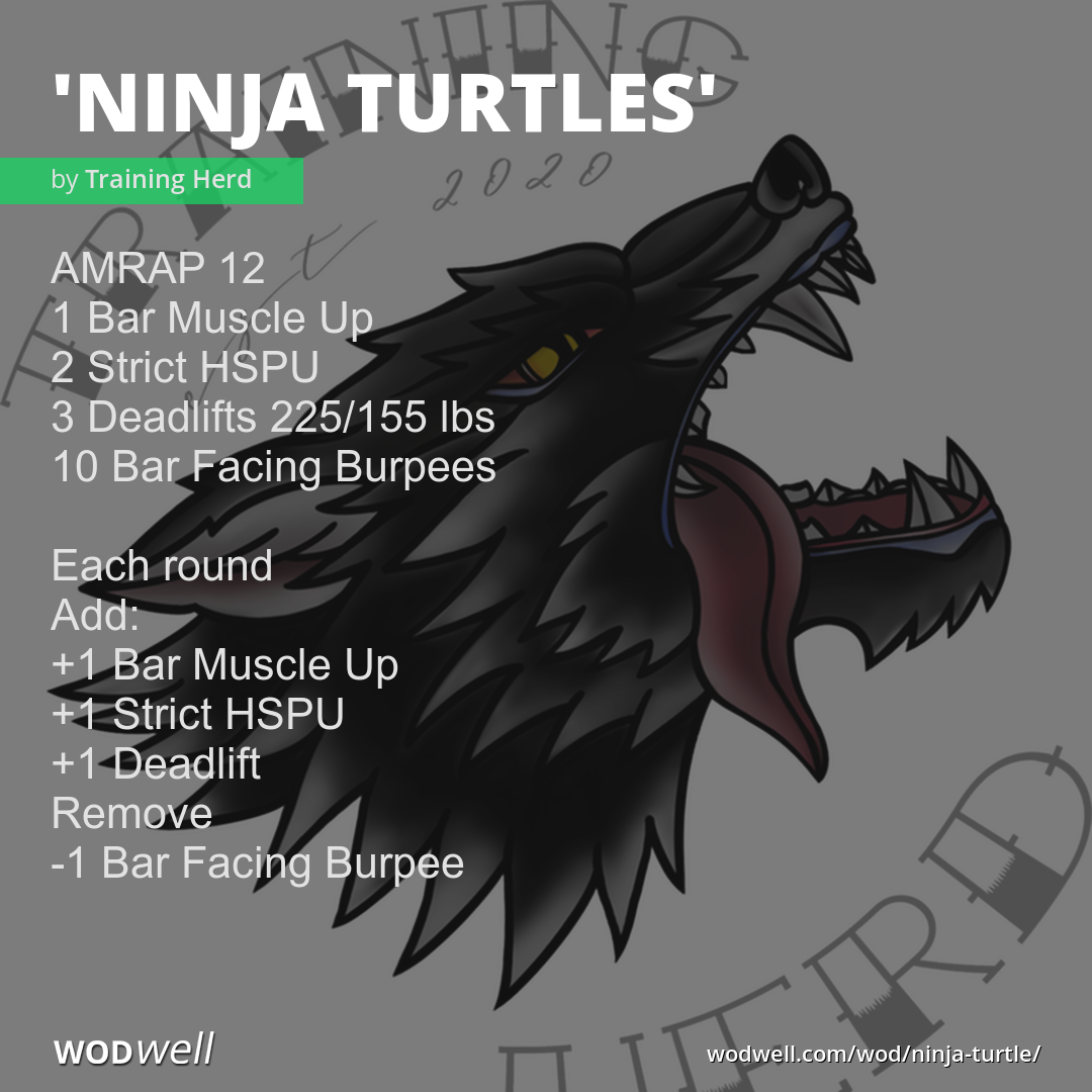 "Ninja Turtles" Workout, Coach Creation WOD | WODwell