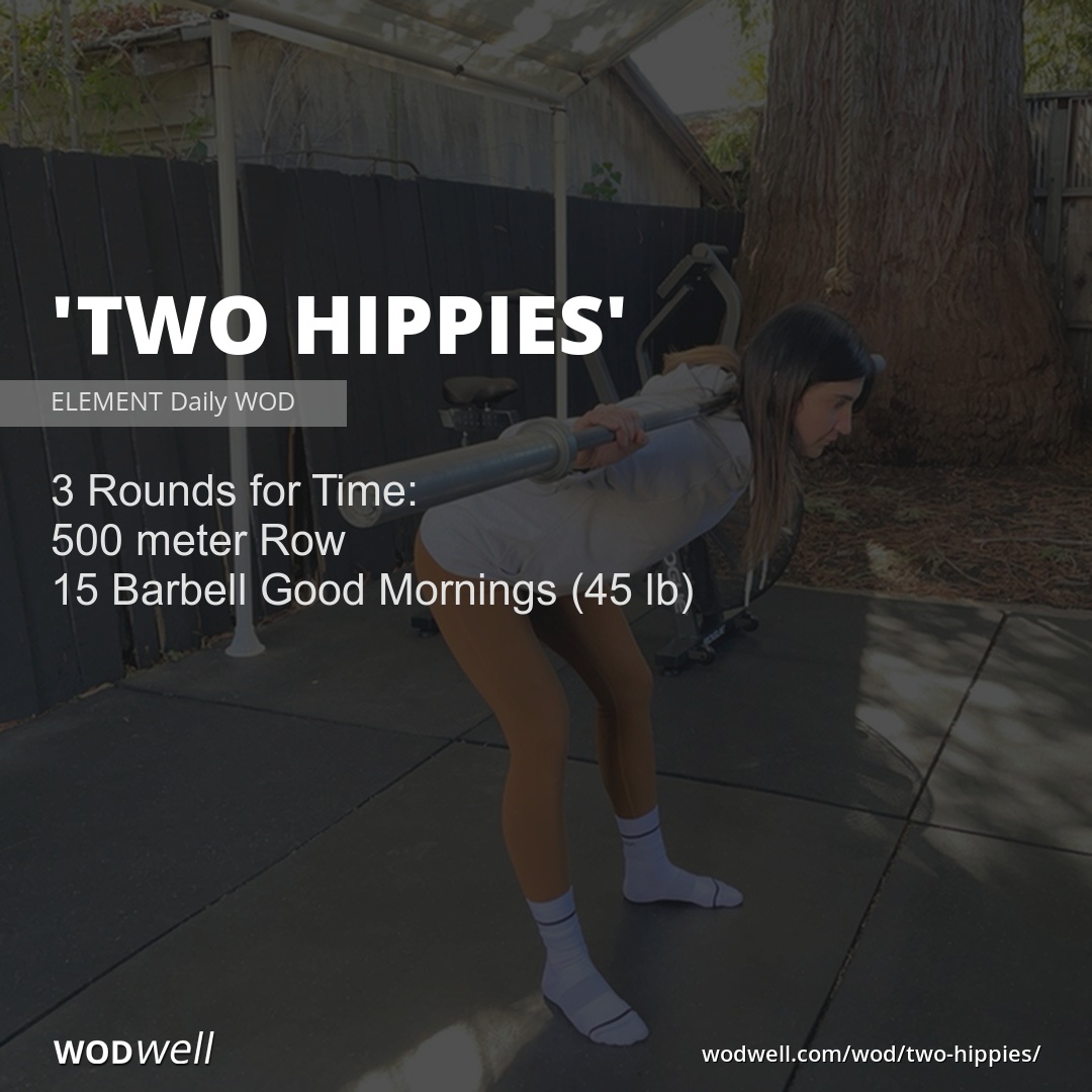 "Two Hippies" Workout, ELEMENT Daily WOD | WODwell